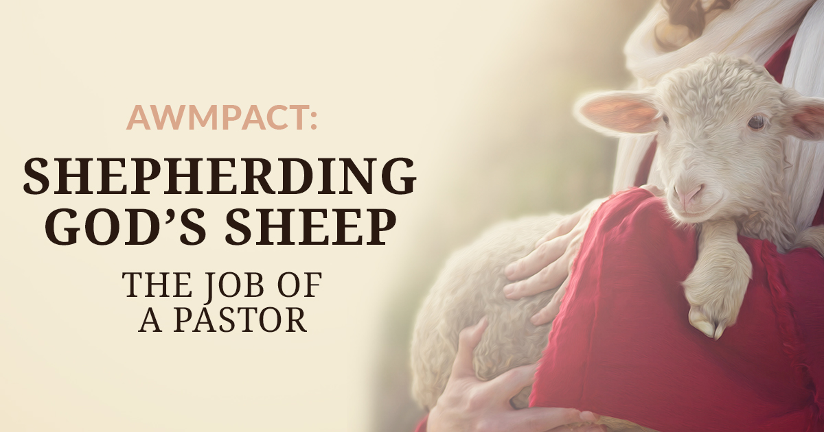 Shepherding God's Sheep: The Job of a Pastor - Andrew Wommack Ministries