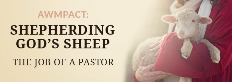 Shepherding God's Sheep: The Job of a Pastor - Andrew Wommack Ministries