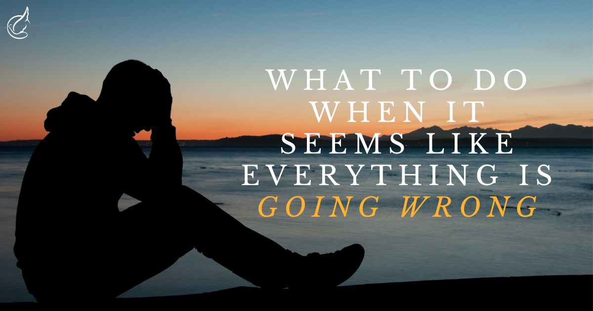 What to Do When it Seems Like Everything is Going Wrong - Andrew ...